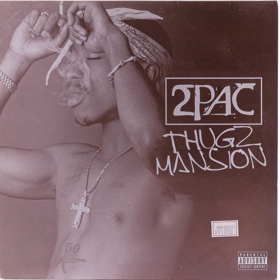2Pac - Thugz Mansion - Raw Music Store