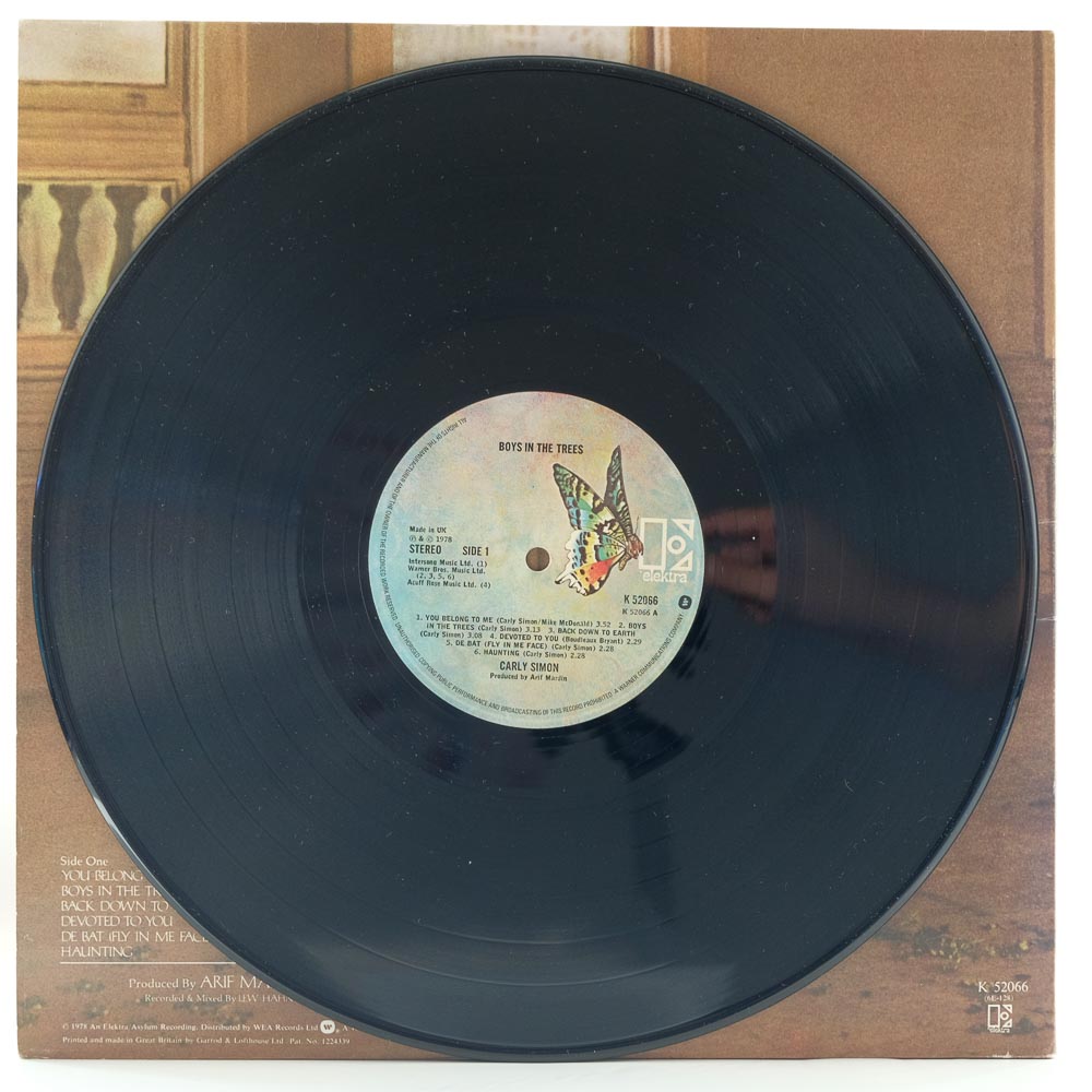 Carly Simon - Boys In The Trees - Raw Music Store