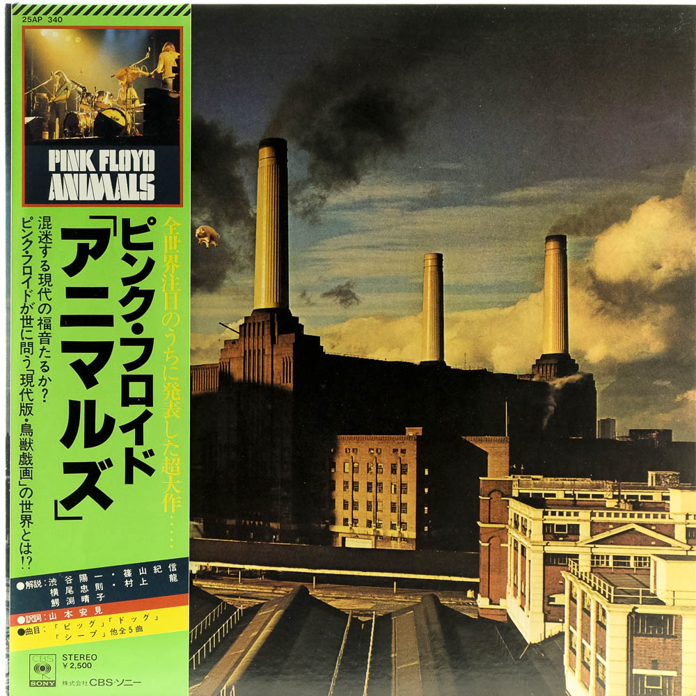 Pink Floyd = Pink Floyd - Animals - Raw Music Store