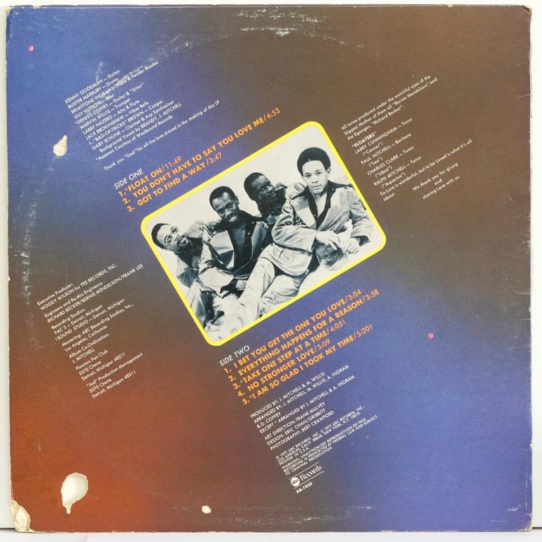 The Floaters - The Floaters - Raw Music Store