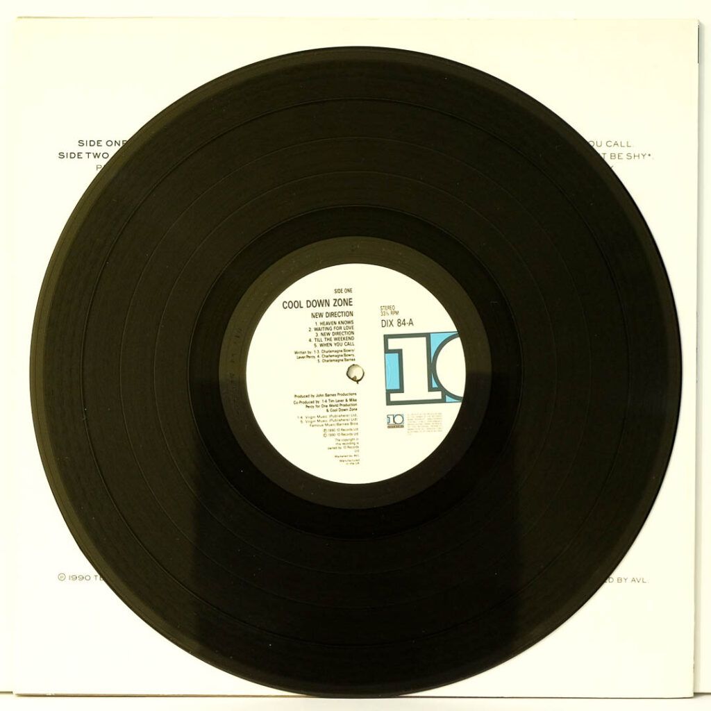 Cool Down Zone - New Direction - Raw Music Store