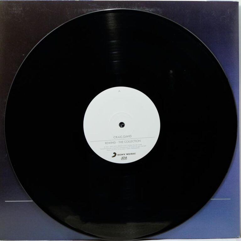 Craig David - Rewind - The Collection - Raw Music Store