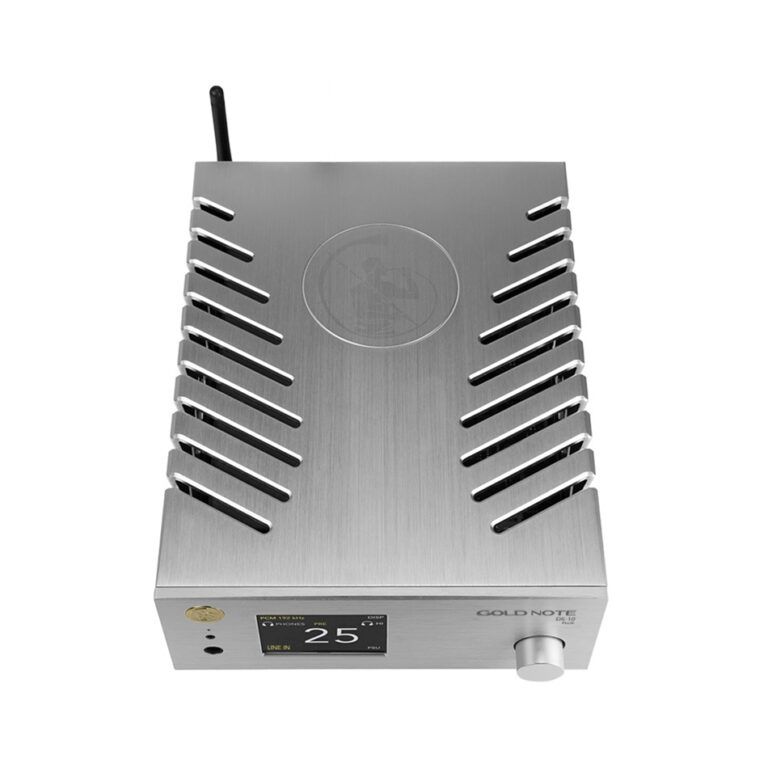 Gold Note DS-10 PLUS - Streamer/DAC - Silver - Raw Music Store