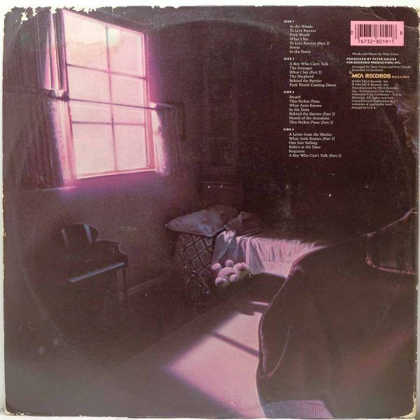 Planet P Project - Pink World - Raw Music Store