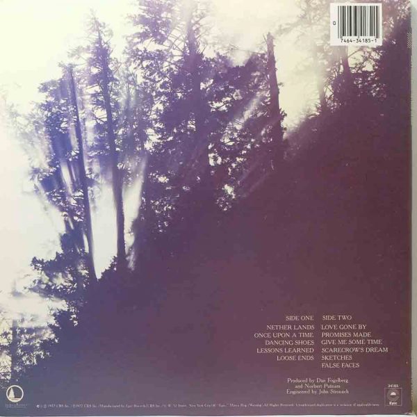 Dan Fogelberg - Nether Lands - Raw Music Store