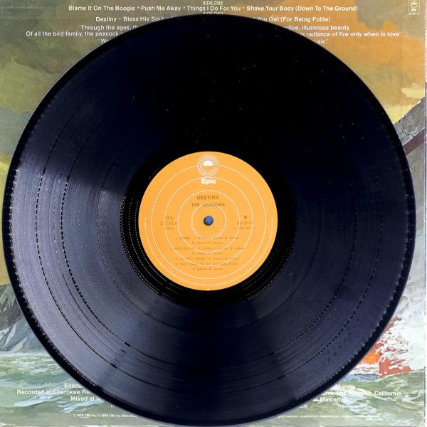 The Jacksons - Destiny - Raw Music Store