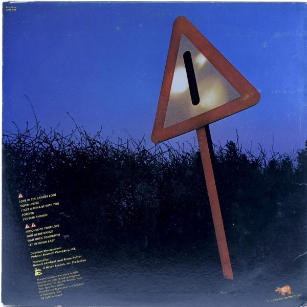 Player - Danger Zone - Raw Music Store